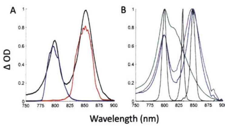 (a) lh2 absorption spectrum of the b800 and b850 bands for
