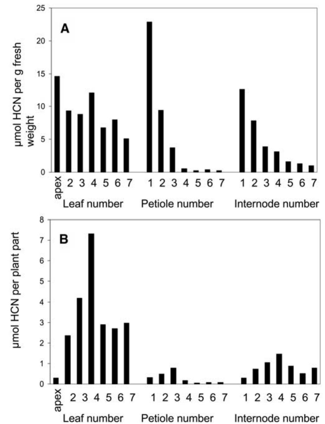 Cyanide potential of individual leaves, petioles, and stems