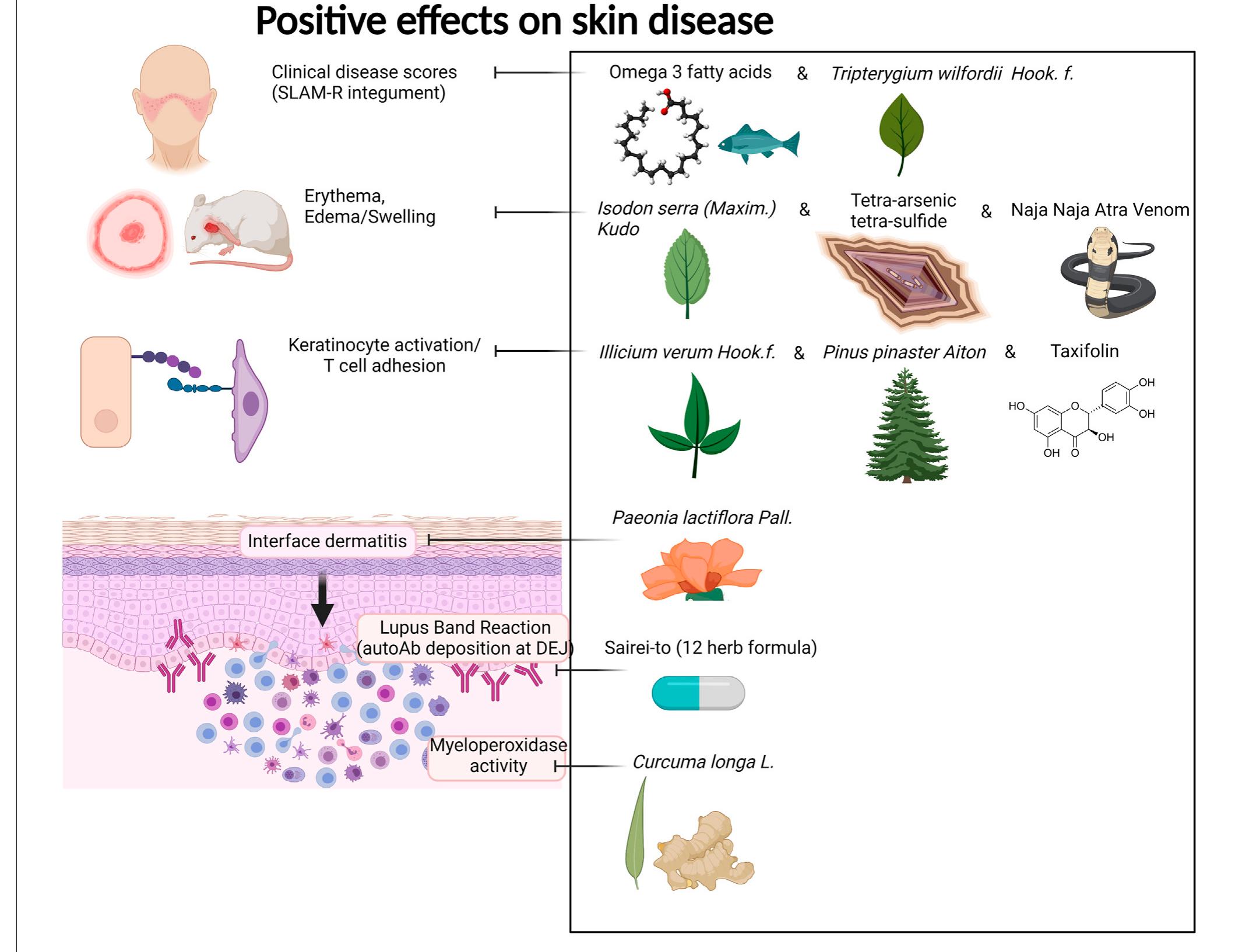 | compounds with positive effects on skin disease. omega 3