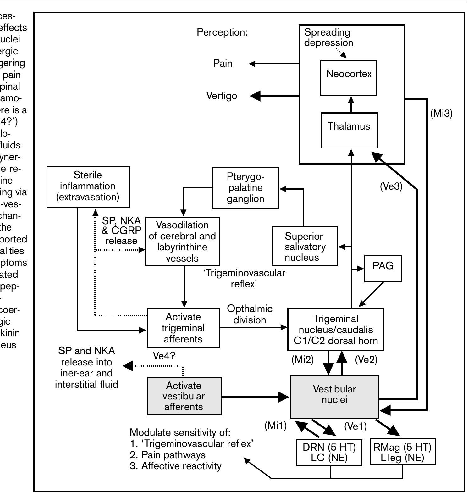 Schematic diagram of neurological linkages between