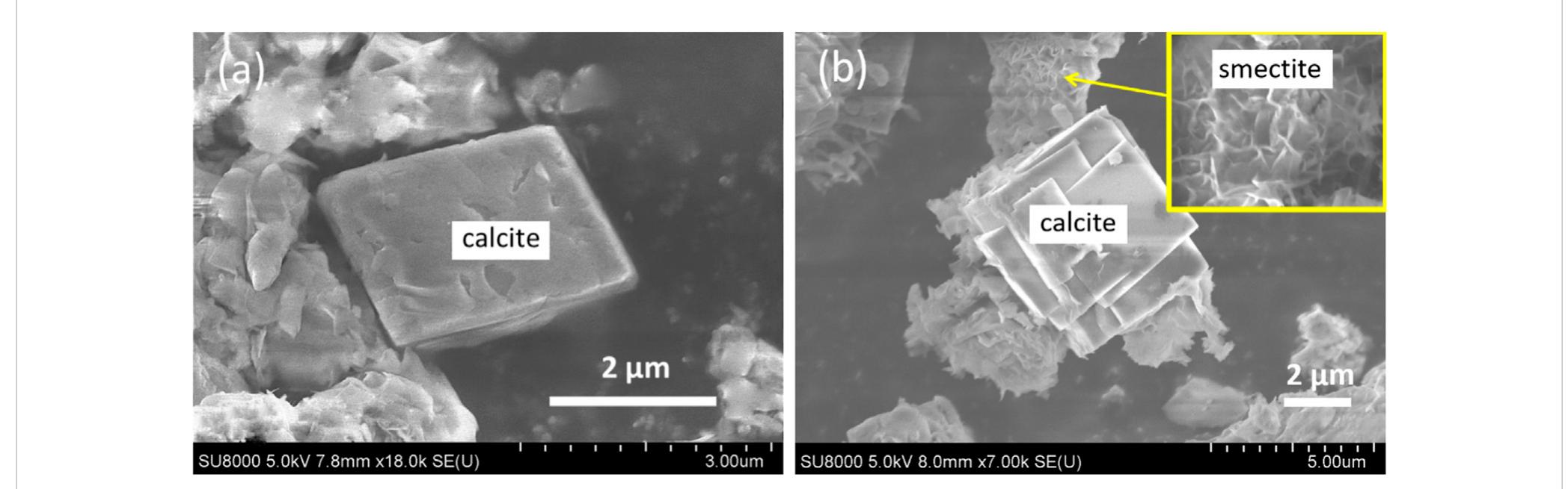 Sem images of solid samples collected after reacting in 0.5