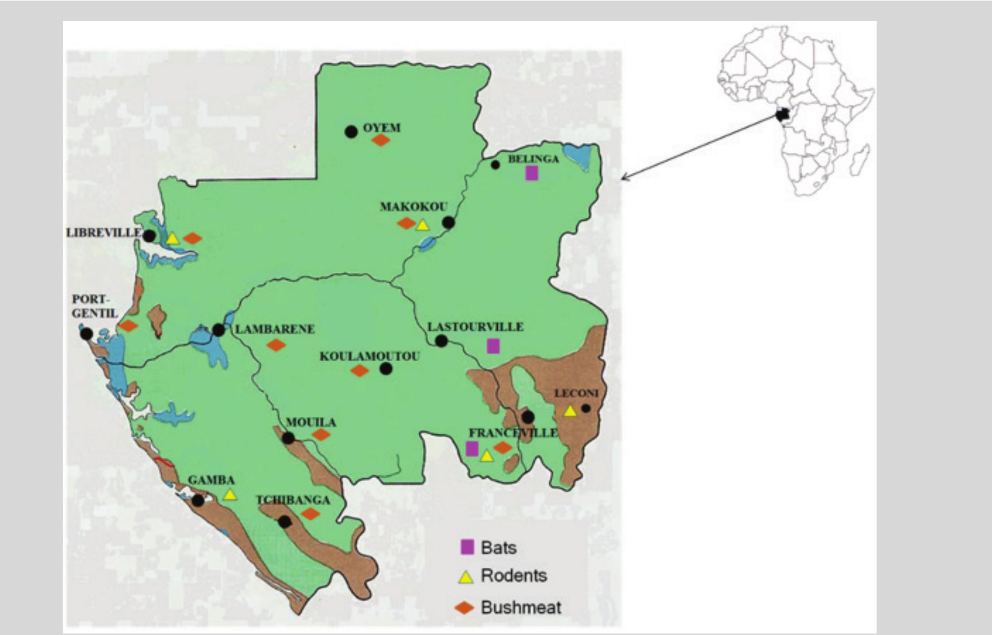 Map of gabon showing localizations where samples have been
