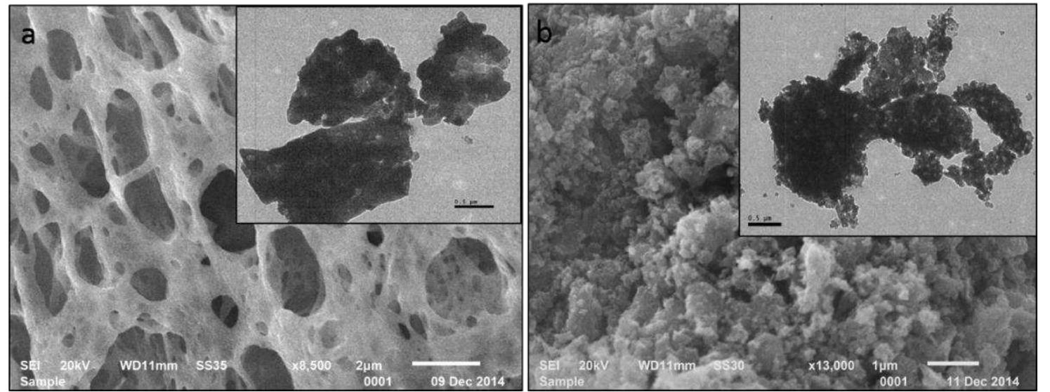 Sem and tem (inset) images showing morphology (porous and