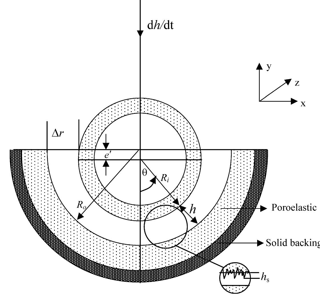 Hemispherical bearing model of synovial knee joint.