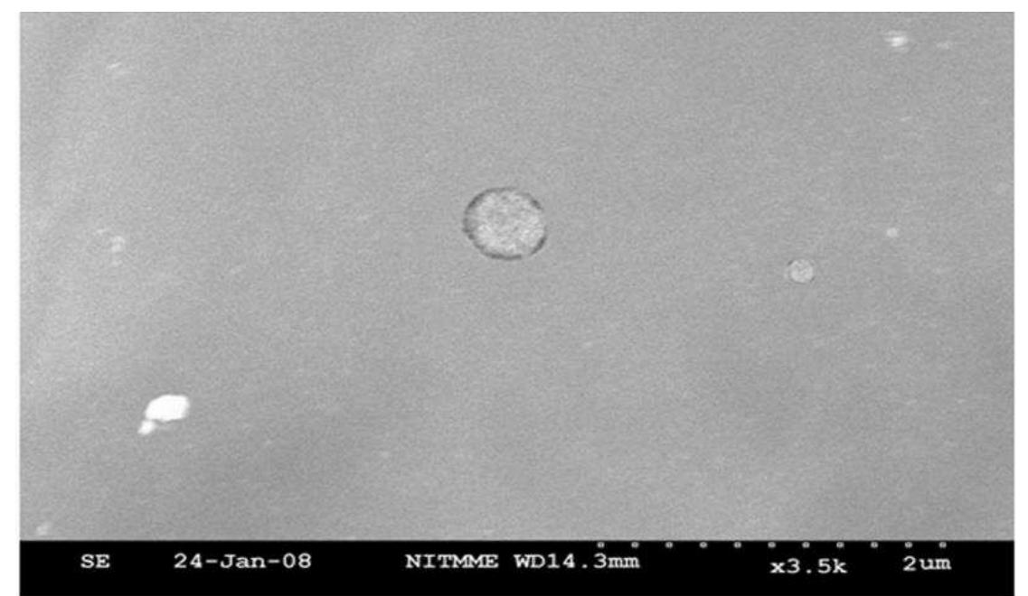 Particle size and shape of transfersomes gel figure 9.