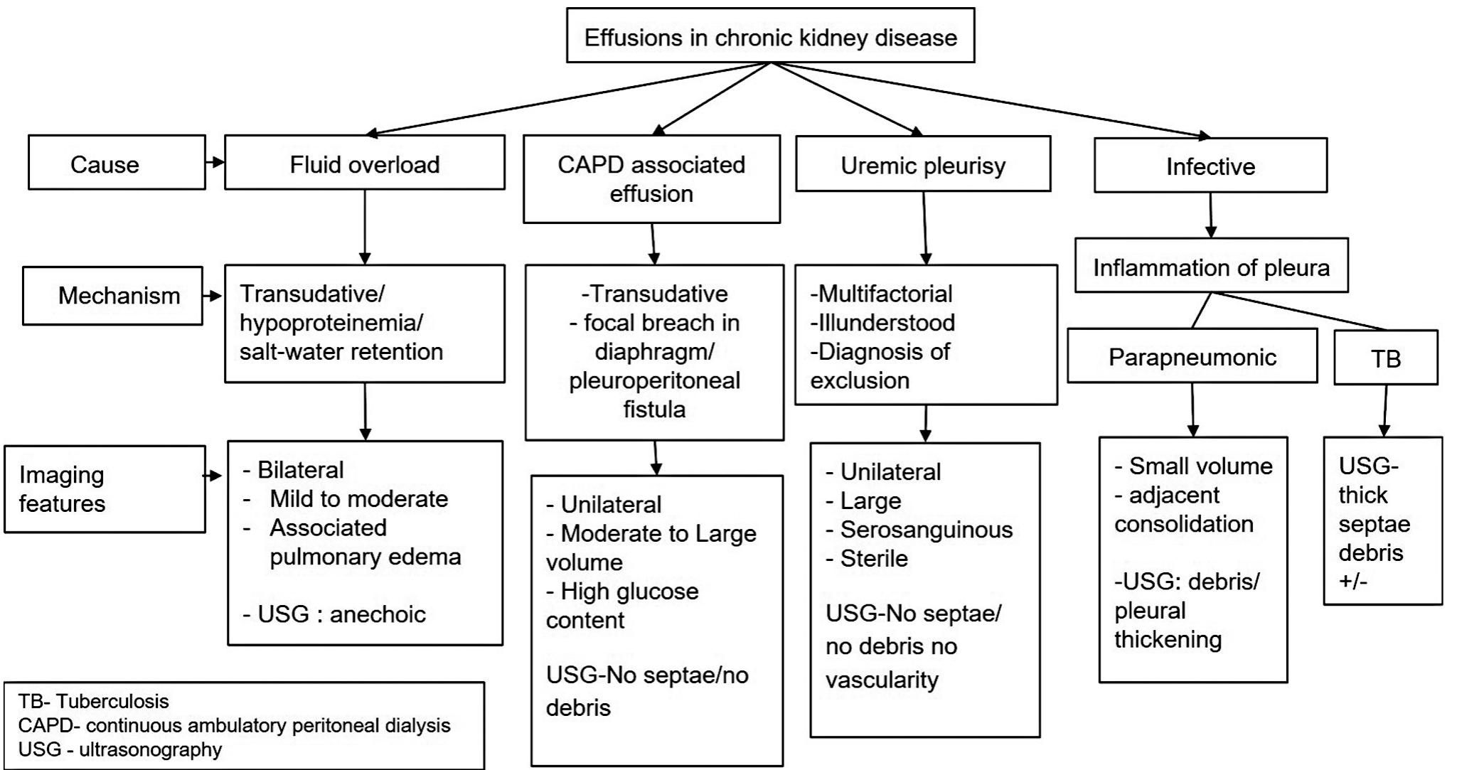 Algorithm for assessment of pleural effusions in chronic