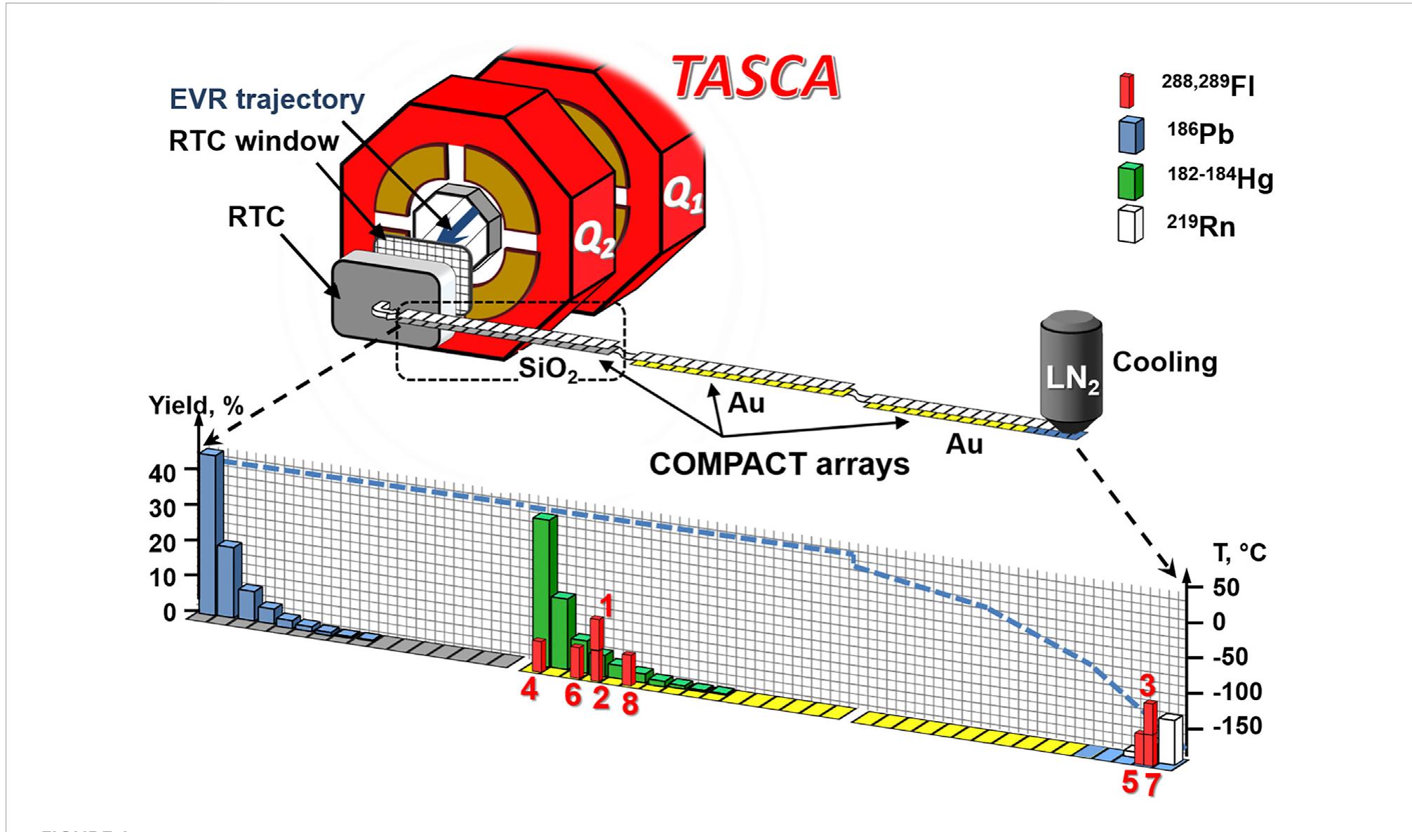 Experimental setup at tasca and deposition pattern of