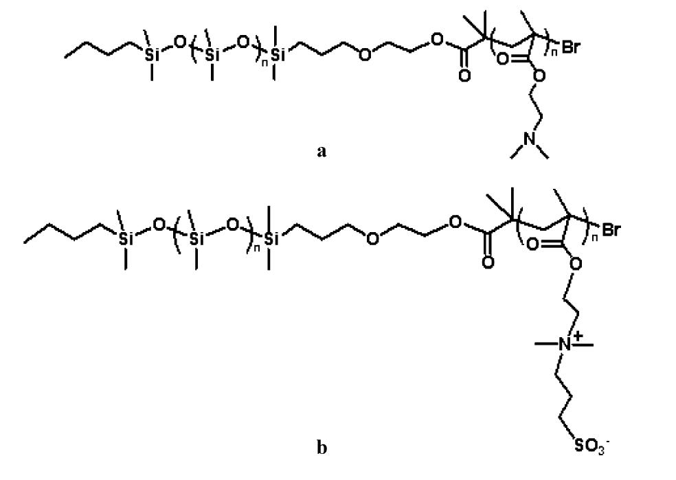 Chemical structures of (a) pdms-b-pdmaema and (b)