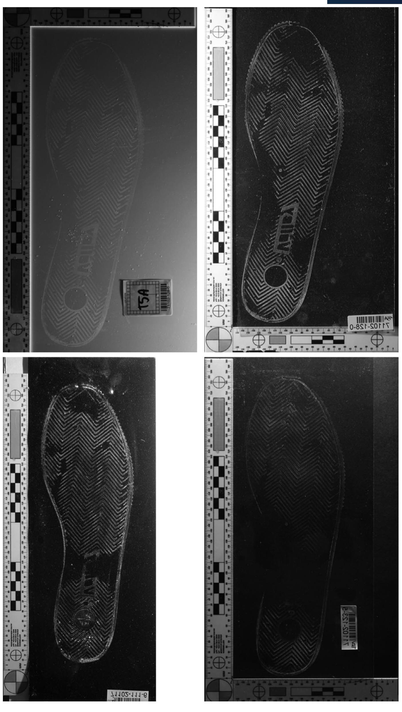 Representative images of lifted impressions from tile: top