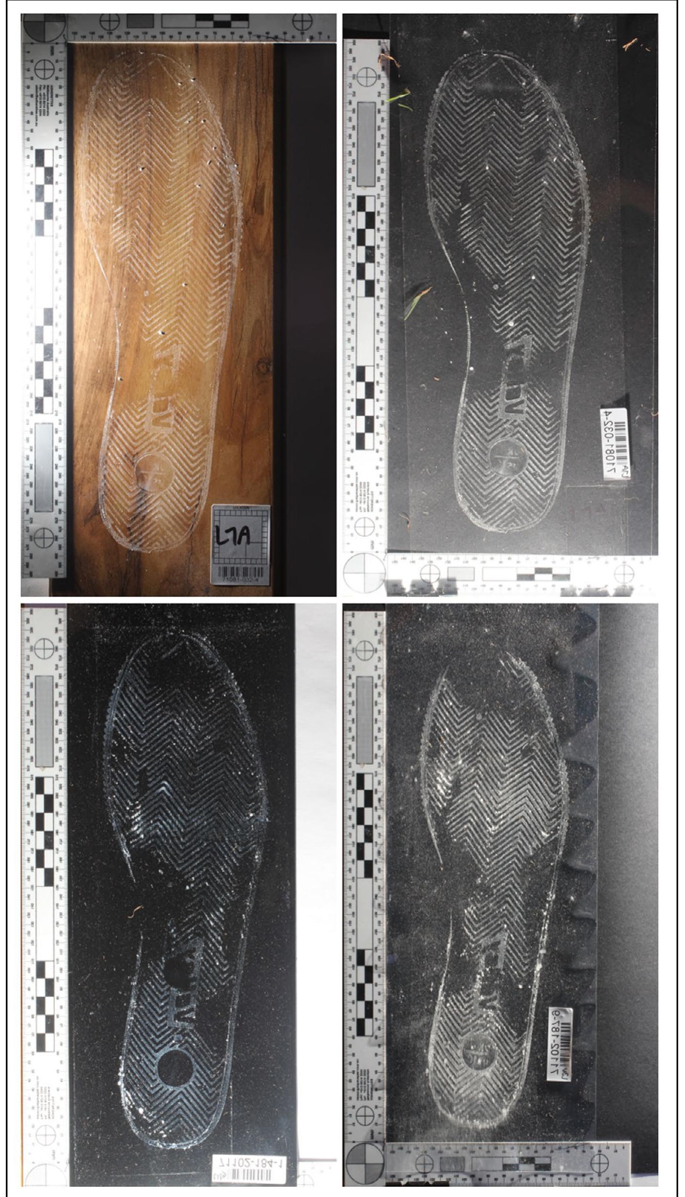Representative images of lifted impressions from laminate: