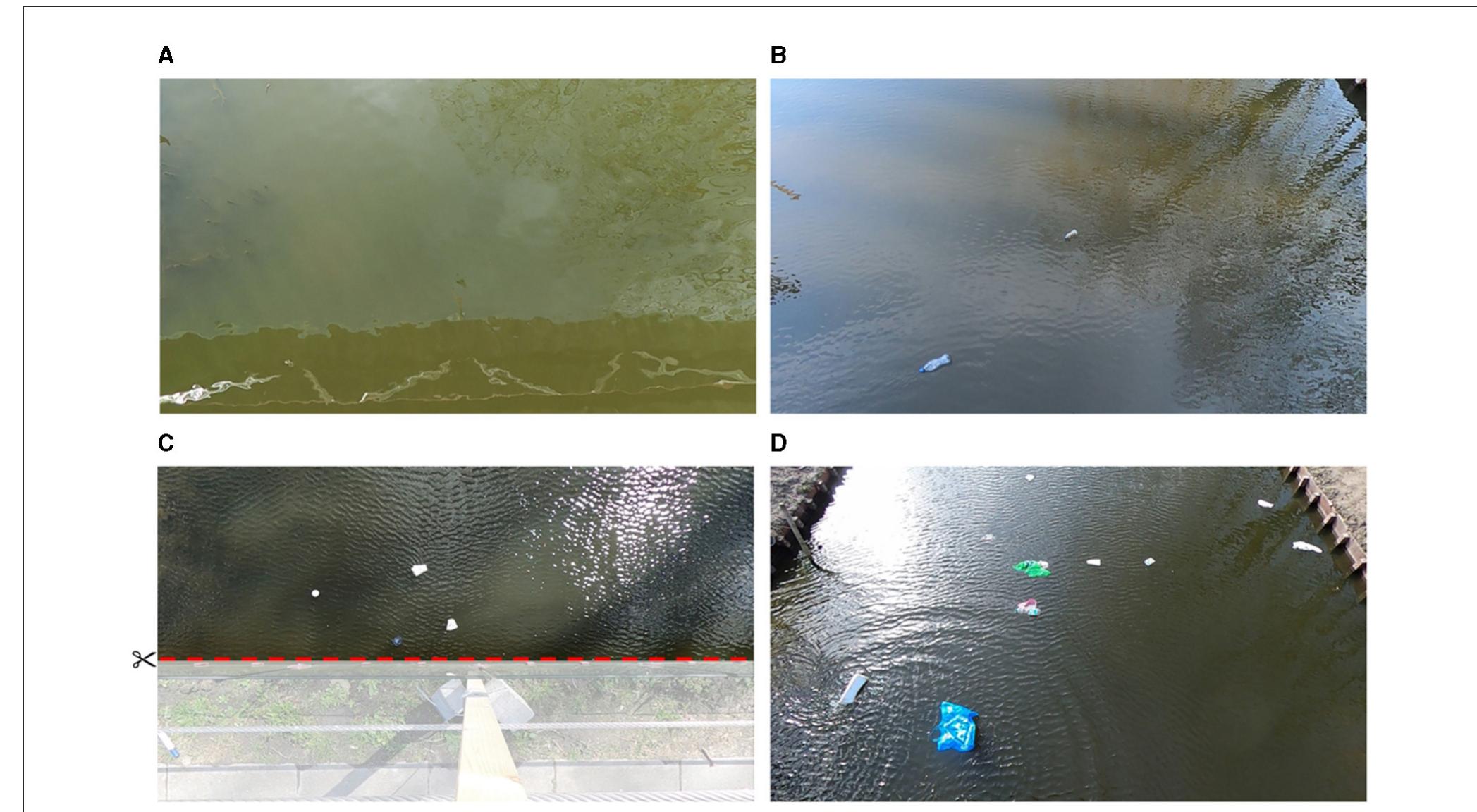 Examples of images from the tud-gv dataset captured from