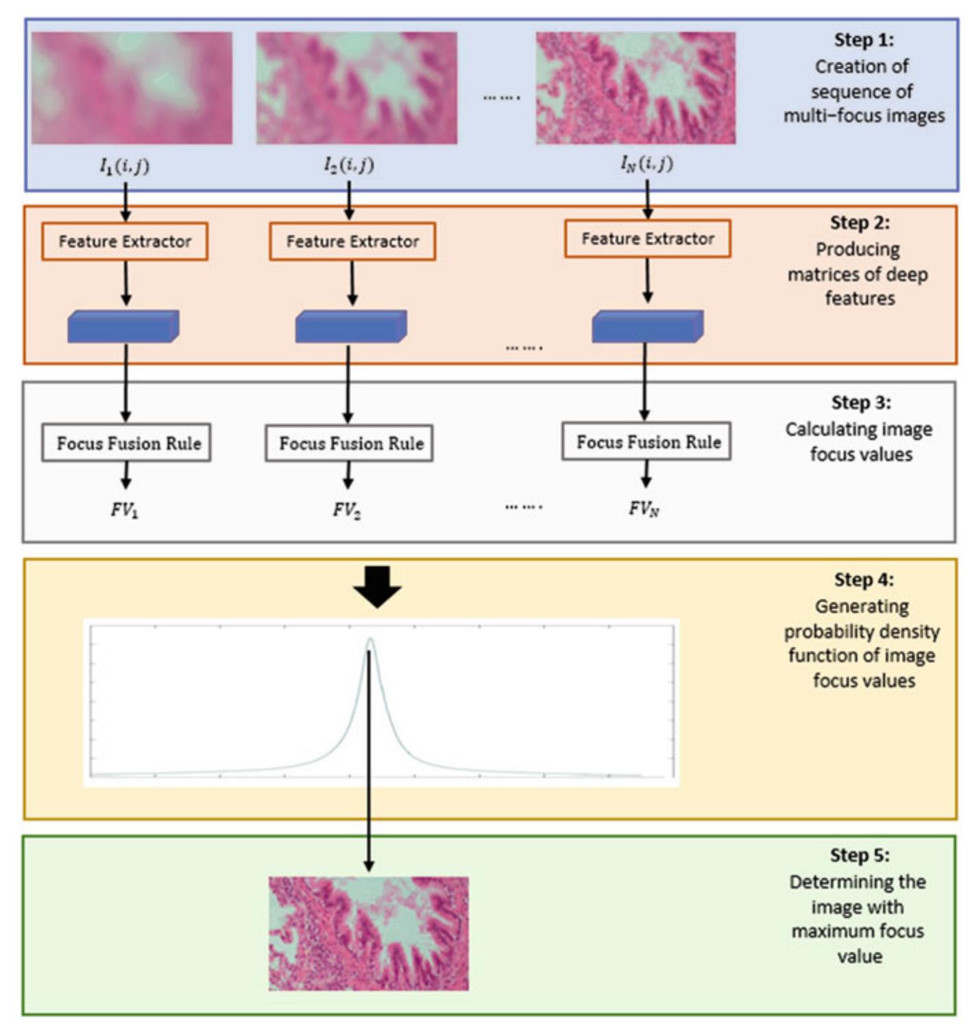 Schematic diagram of deep learning—based automatic focusing