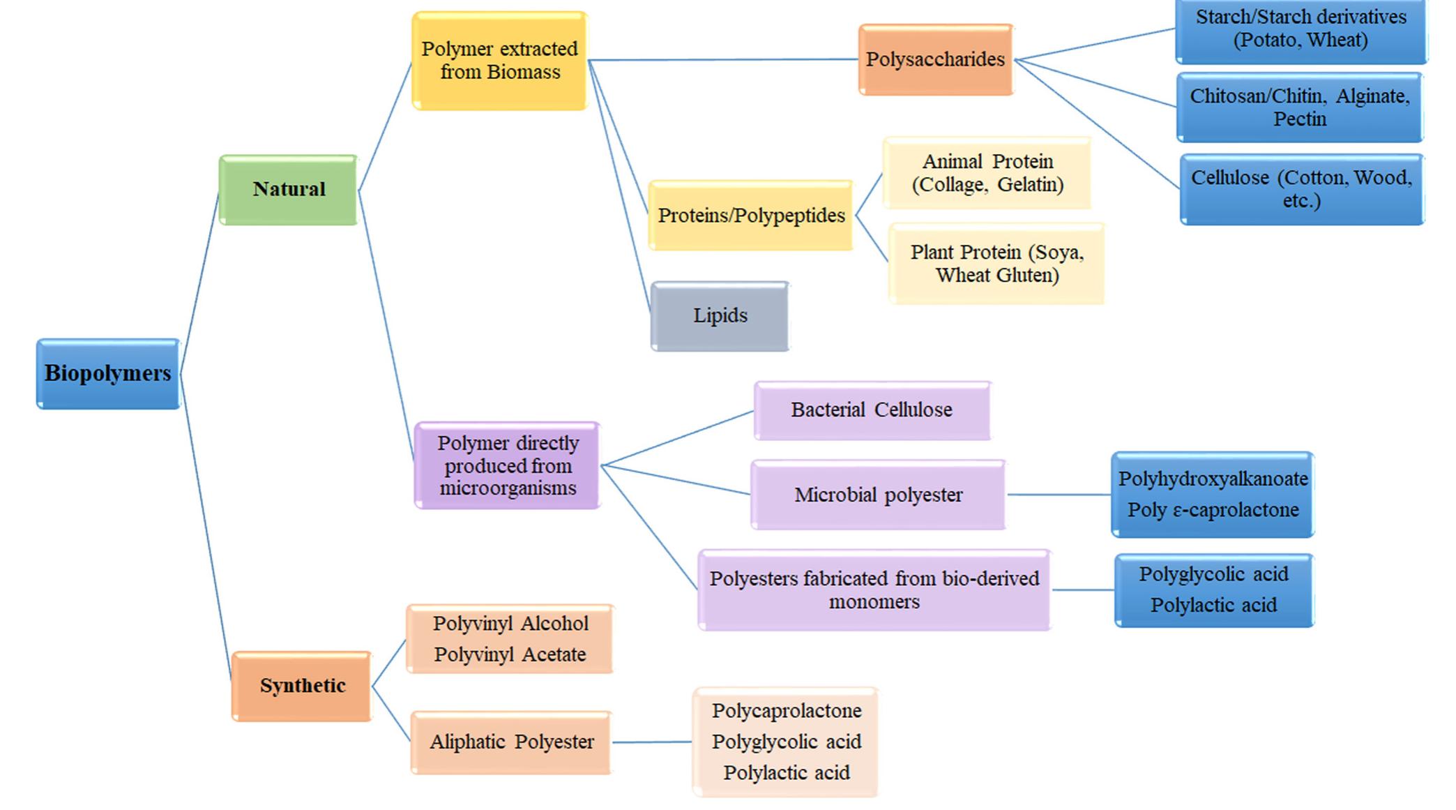 Classification Of Biopolymers Reprinted With Permission