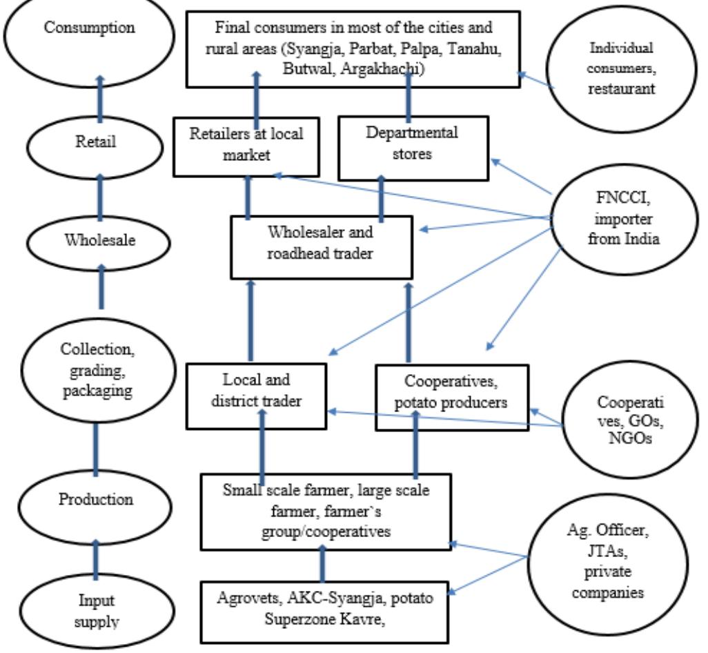 Value chain map of potato in syangja district