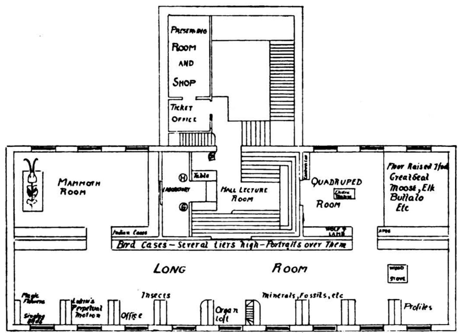 11: diagram of peale’s museum, ca. 1821-182, drawn from