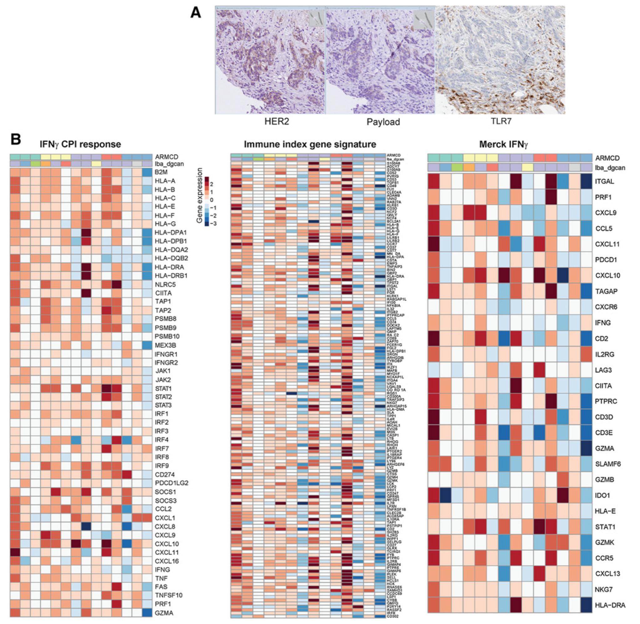 Figure 4 - from Preclinical Characterization and Phase I