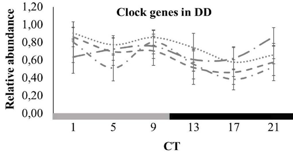 Circadian expression profile of clock genes by qpcr. the
