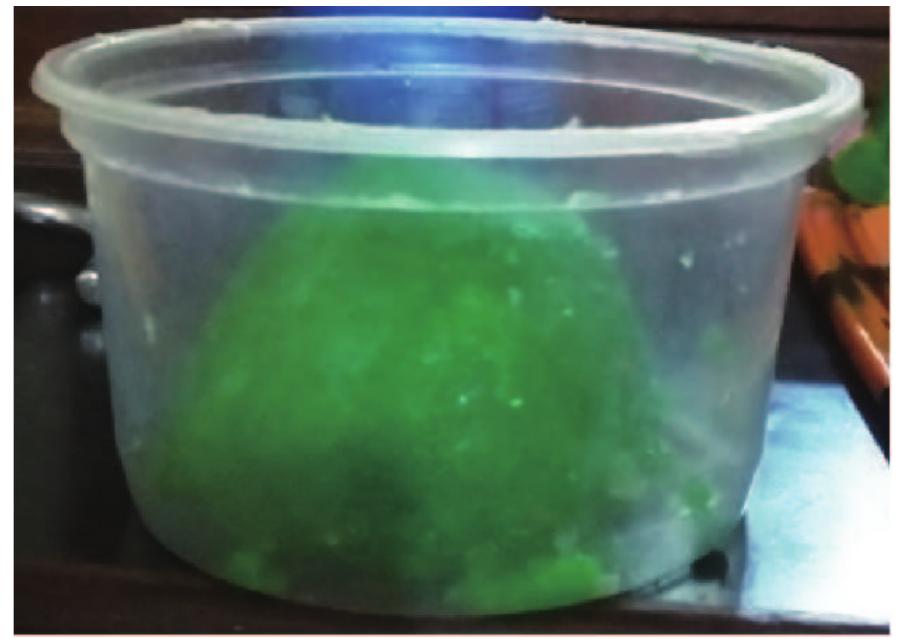 Fabricated brain phantom model.