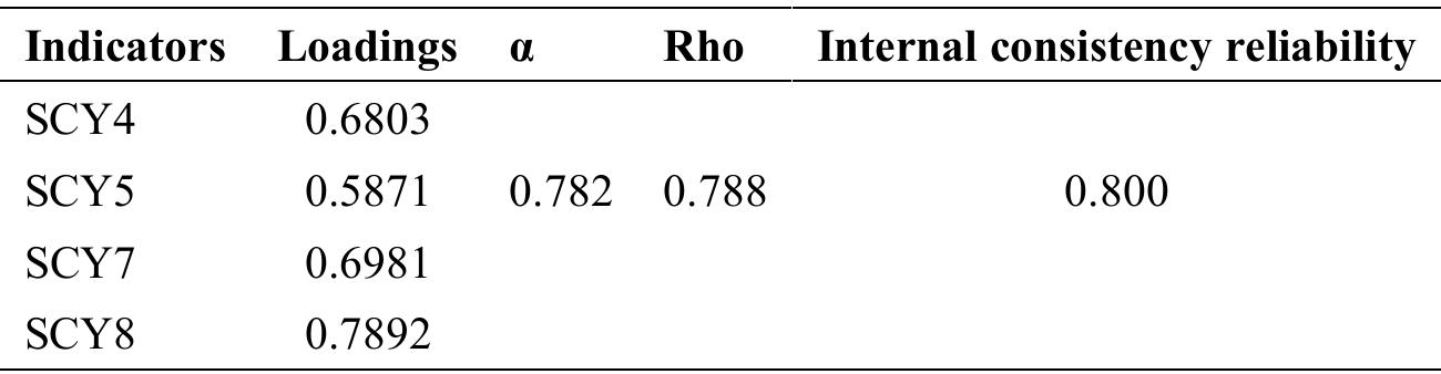 Reliability and construct validity of measurement model