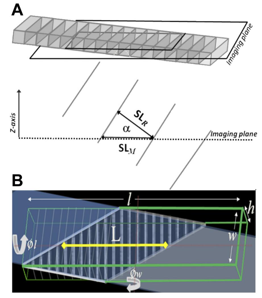 A: schematic illustration of how cell angle relative to the