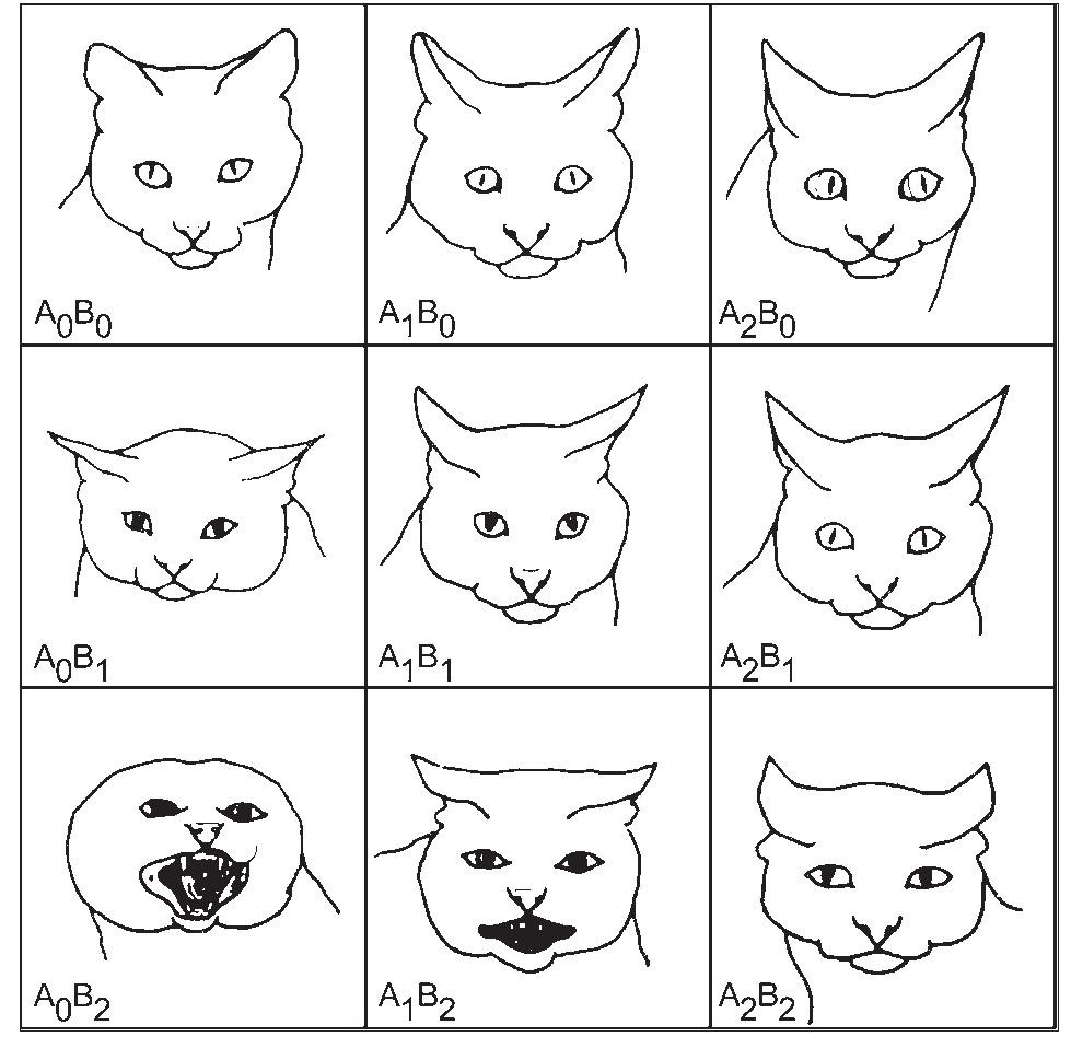 —lllustrations of facial expressions of cats. notice that in