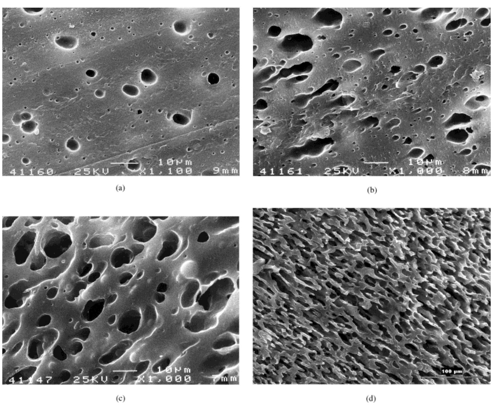 Sem pictures of the phase structure of ldpe/hips blends with