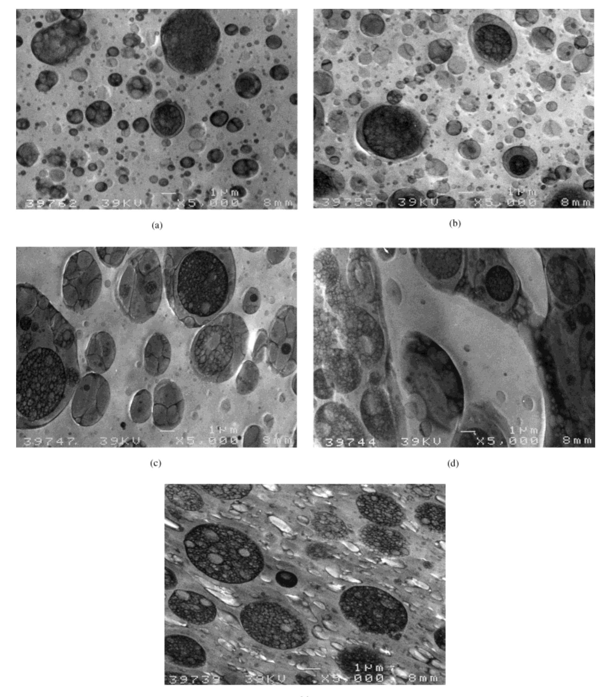 Stem pictures of the phase structure of ldpe/hips/sb blends