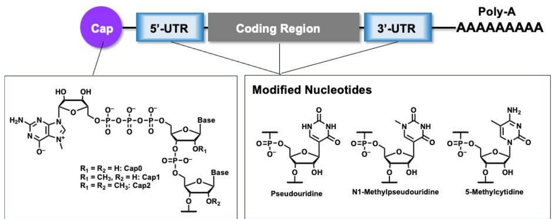 (PDF) Innovations in Biological Science