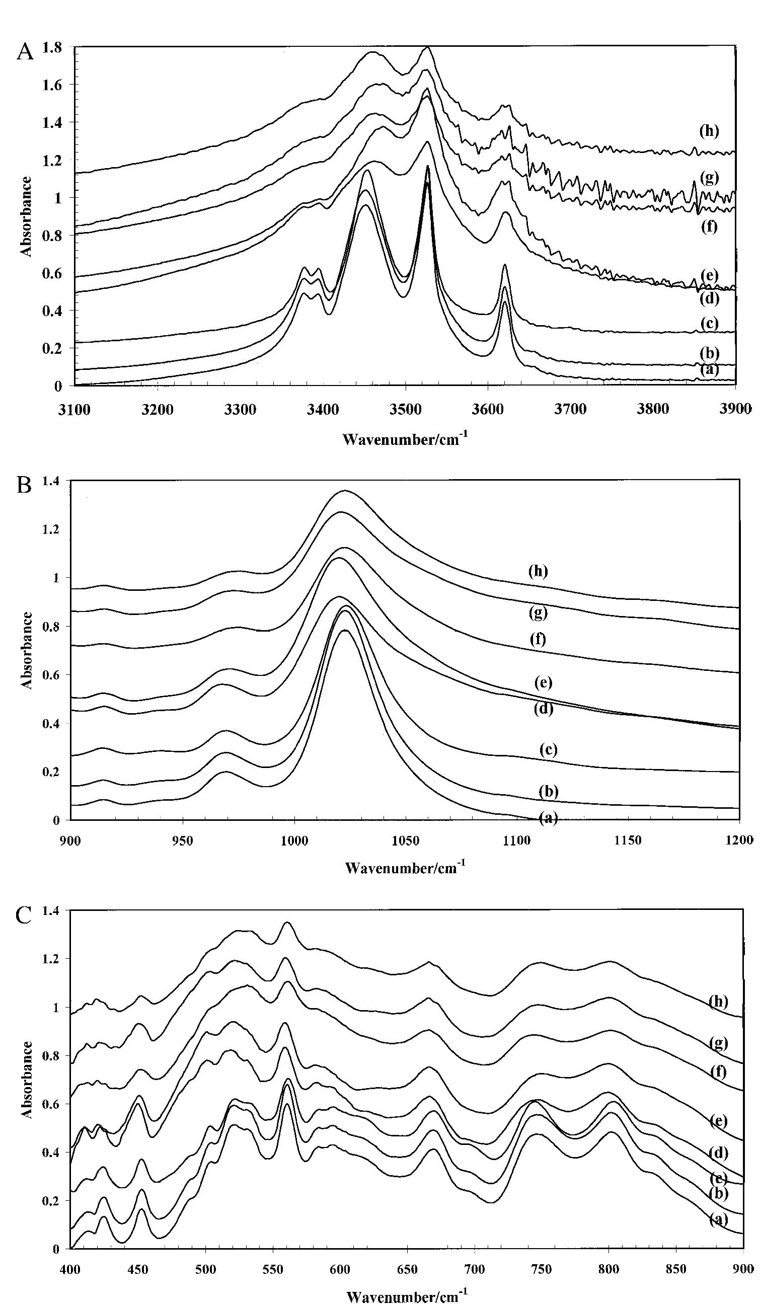 Fic. 3. (a) infrared absorbance spectrum of the hydroxyl