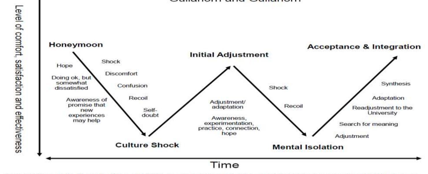 The w-curve model of cultural re-adaptation (gullahorn