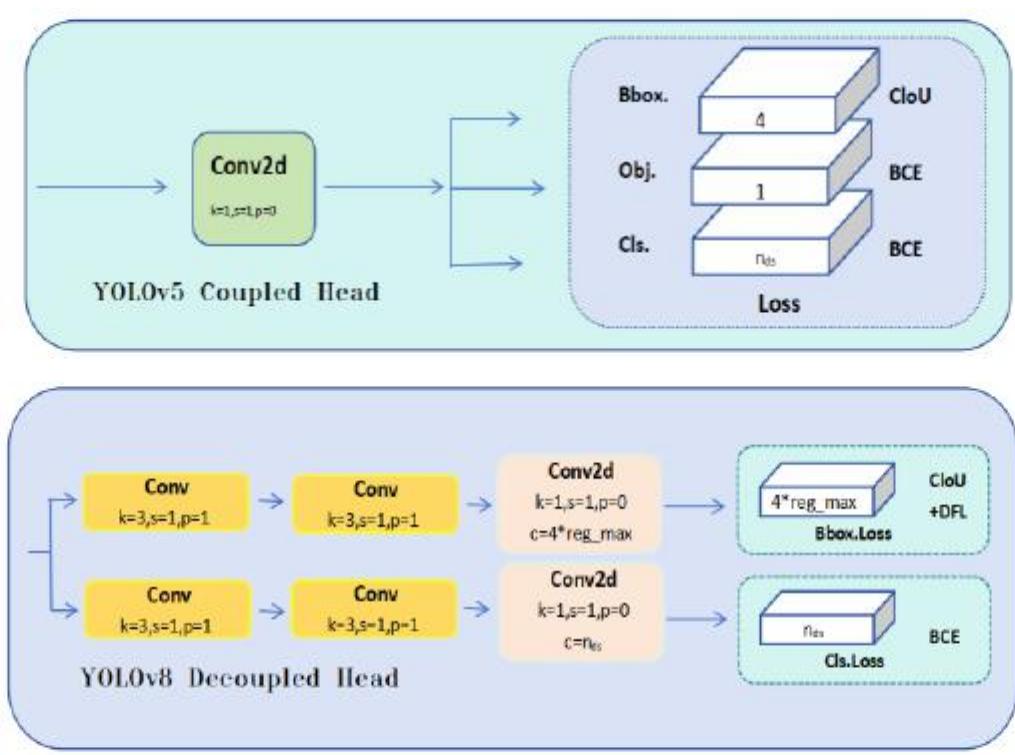 Comparison between yolov5 and yolov& head the original
