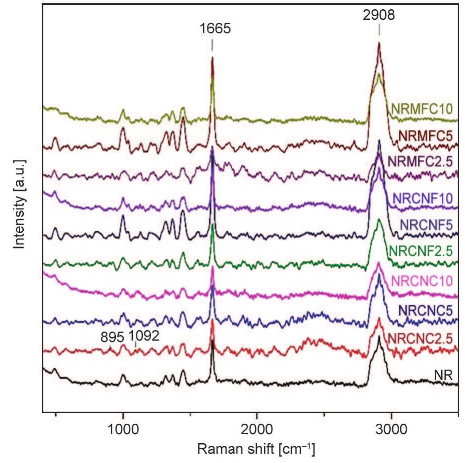 Raman spectra of nr and nr nanocomposites. [72, 73] 1s more
