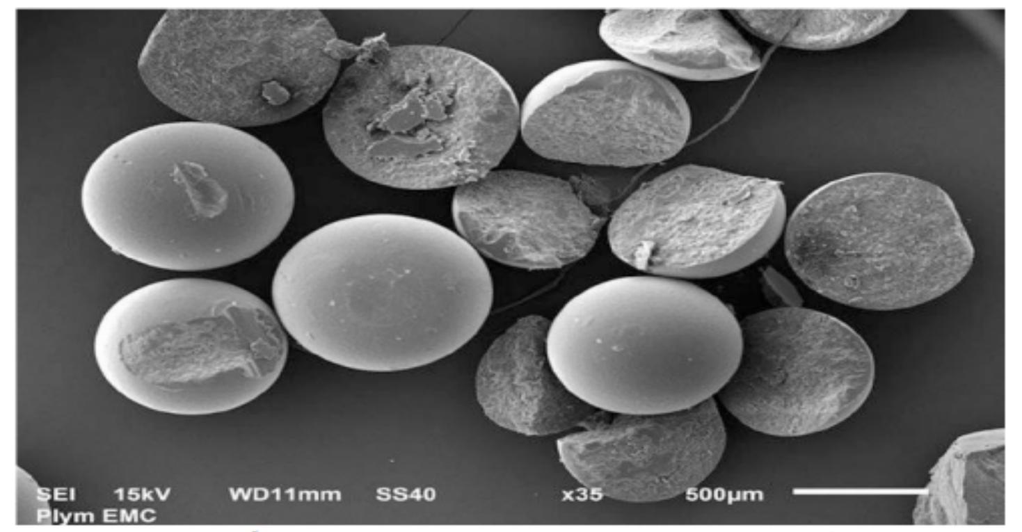 Electron microscope image of microbeads removed from