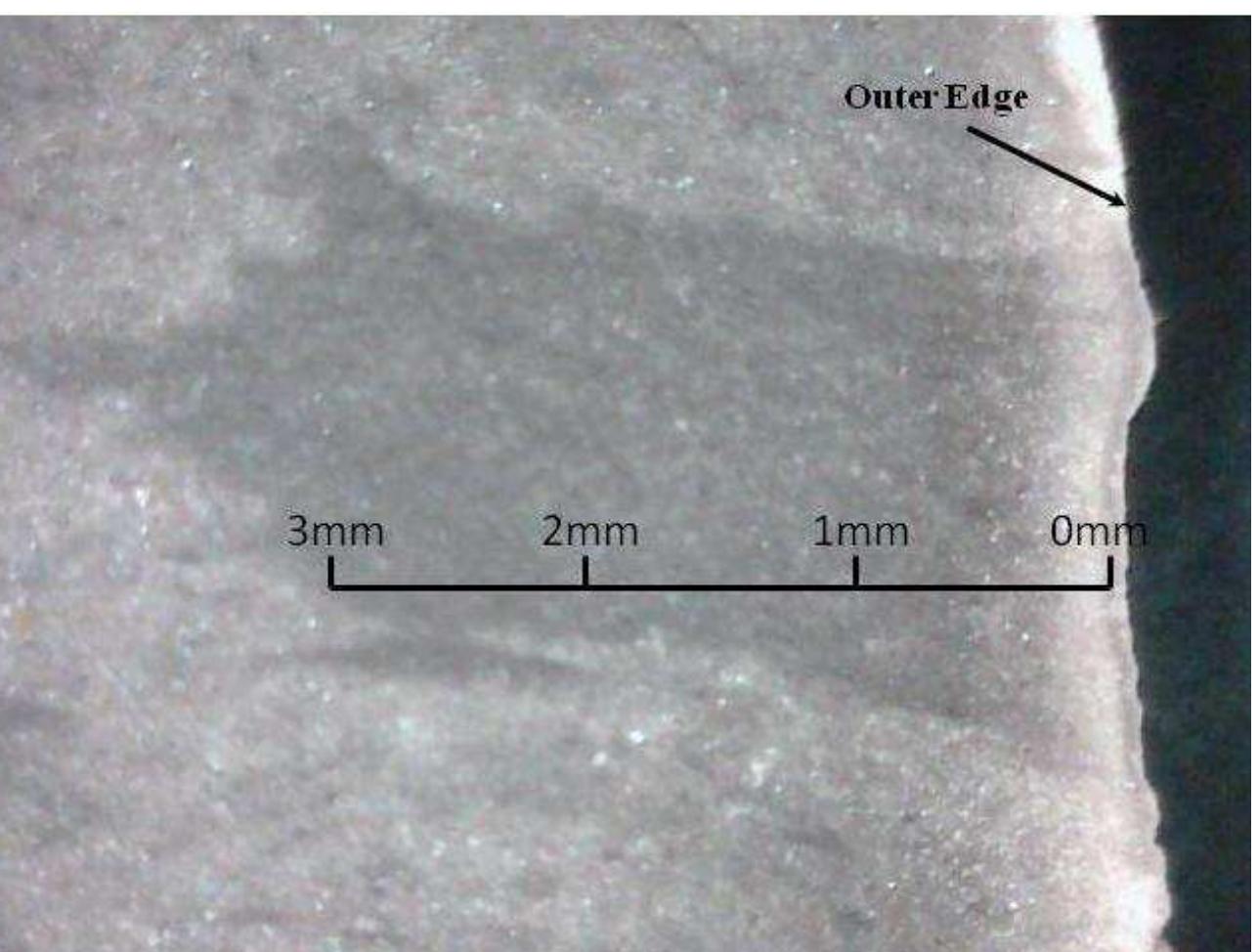 Dover chert sample w10 magnified 30x showing intra-sample