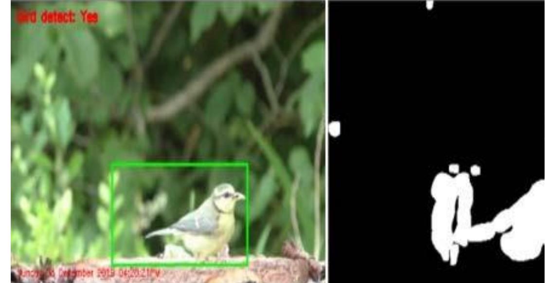 Delta frame. fig. 20 shows the code detecting birds using
