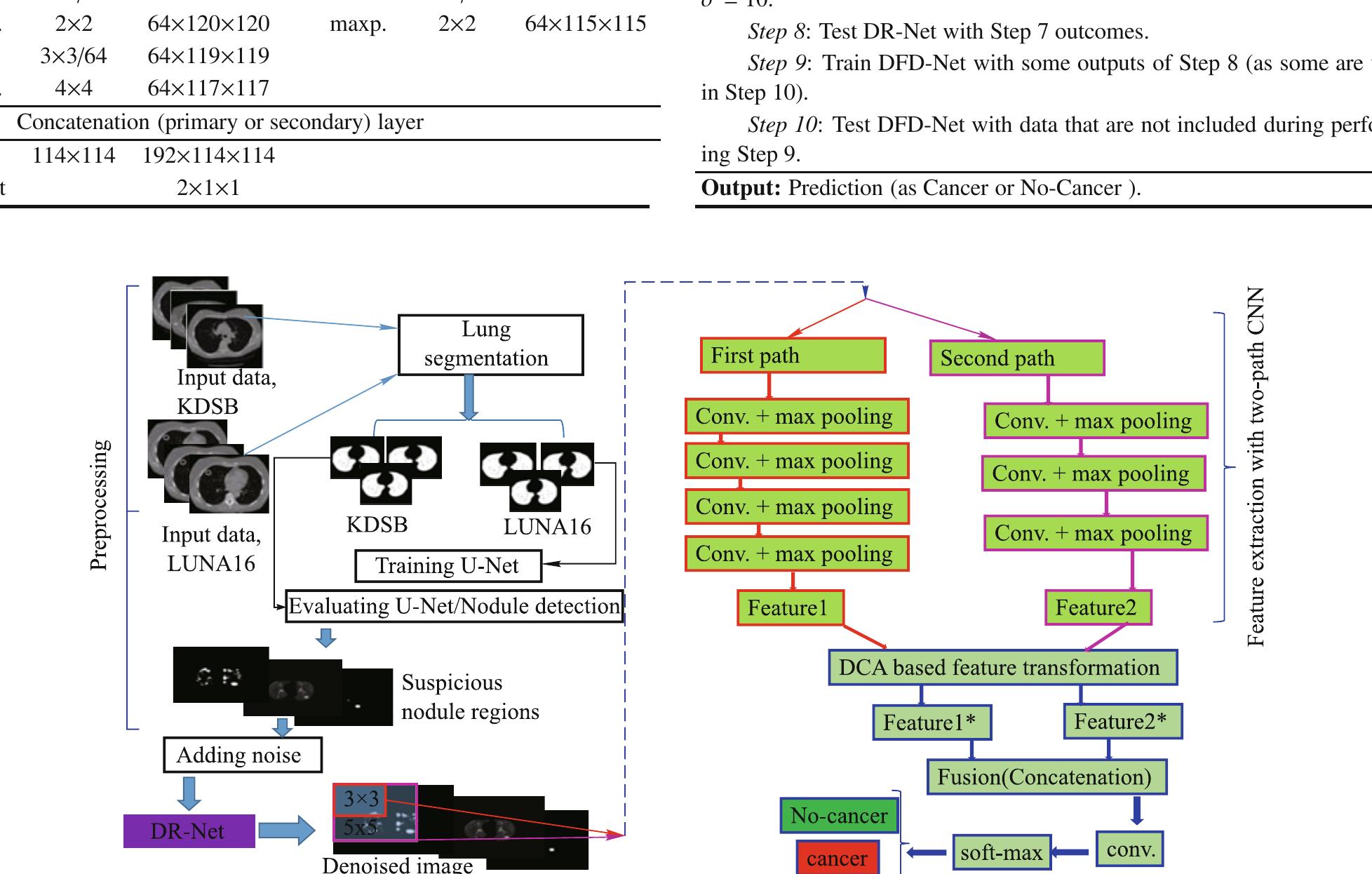 Dfd-net framework. the figure reveals the input patch