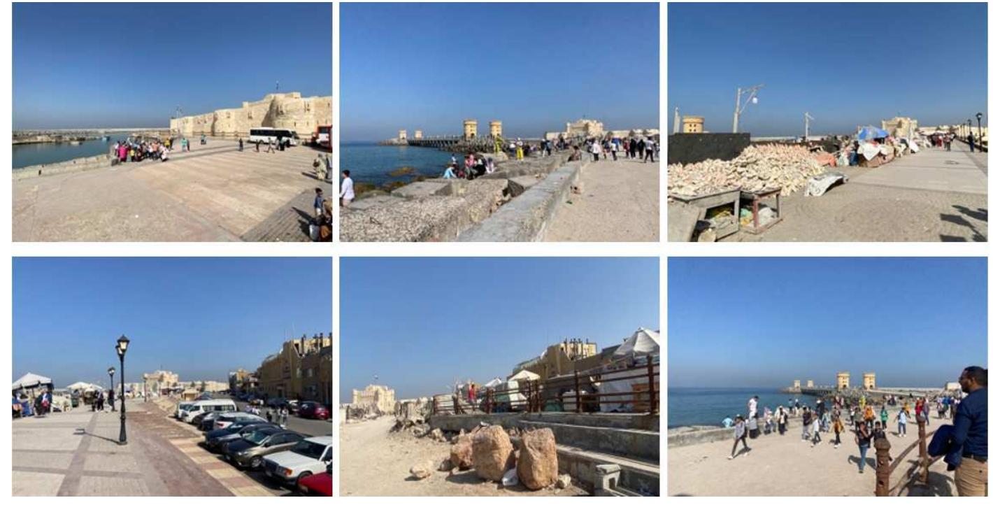 Swot analysis figure 18 summarizes the swot analysis of the