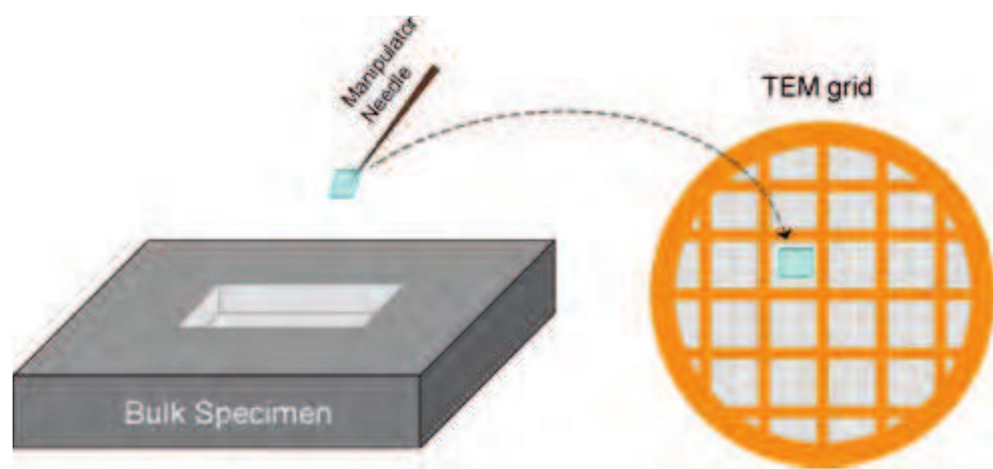 Schematic diagram of traditional lift-out tem specimen