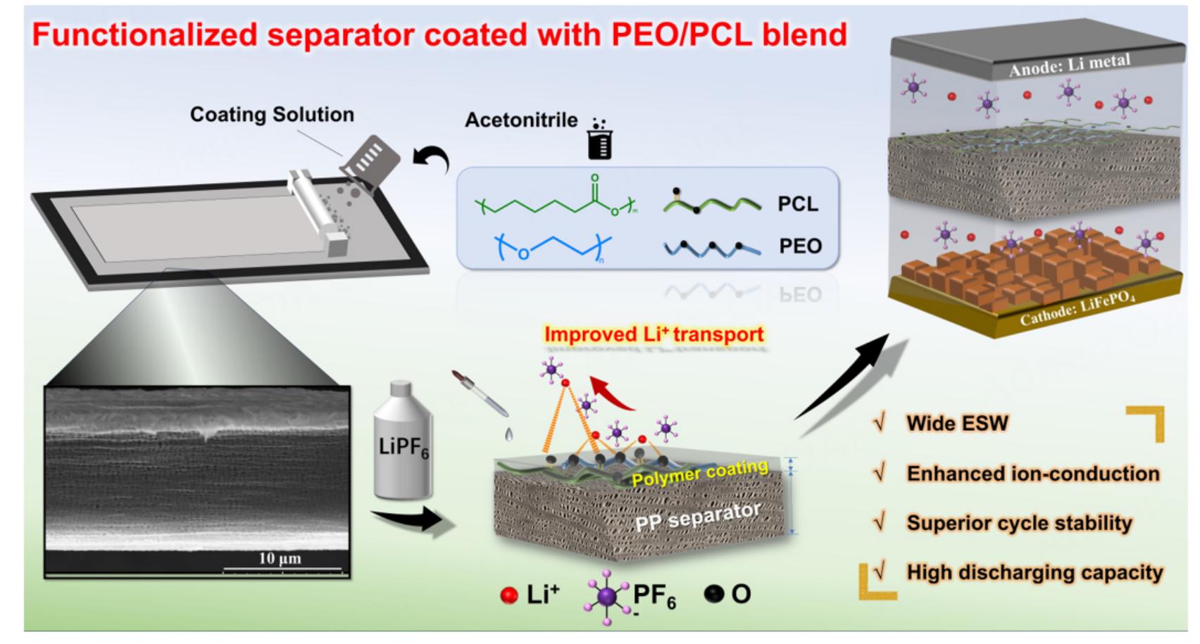 Schematic illustration of functionalized separator coated