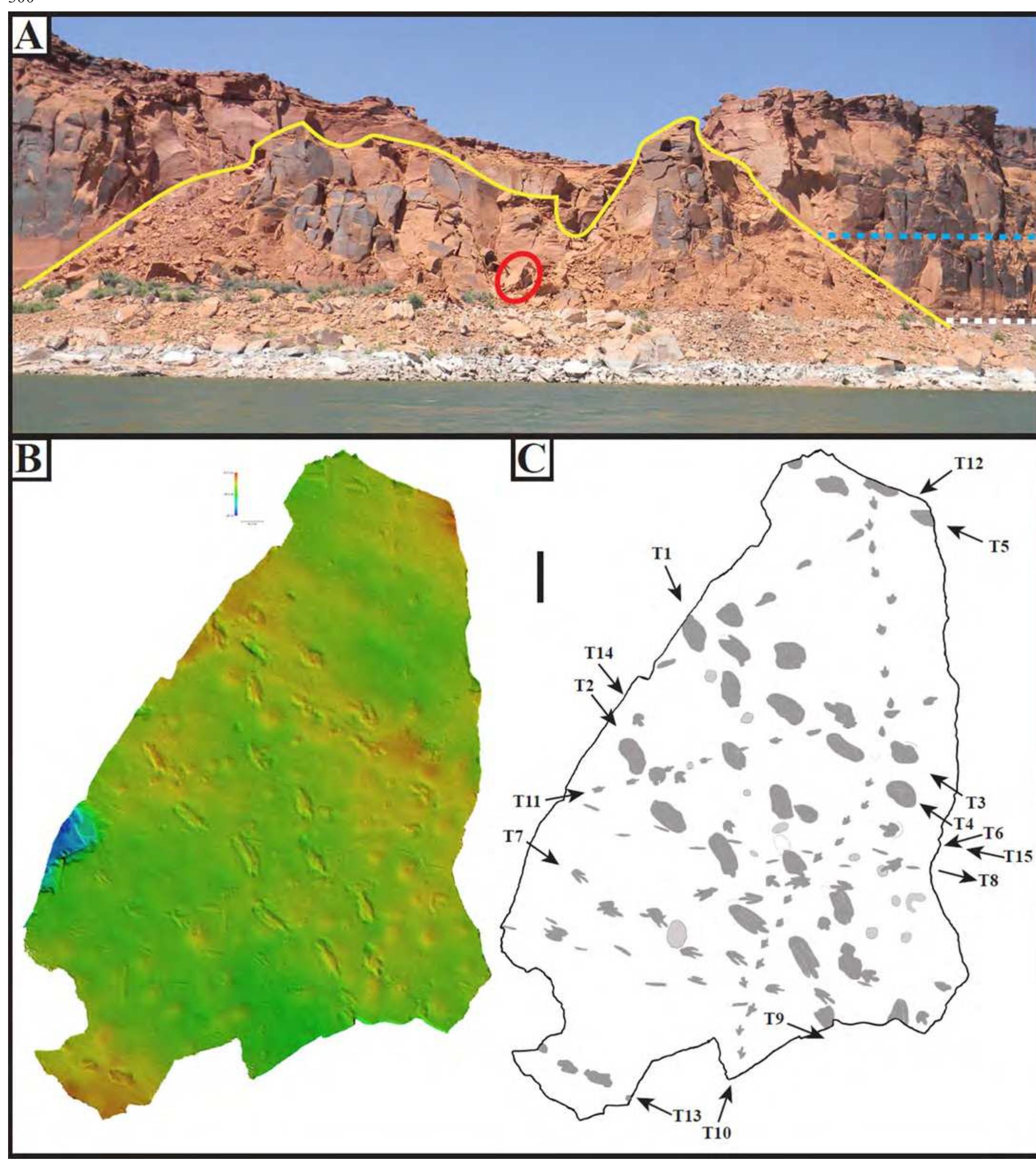 The little cave cove tracksite (lcct) discovered by a.