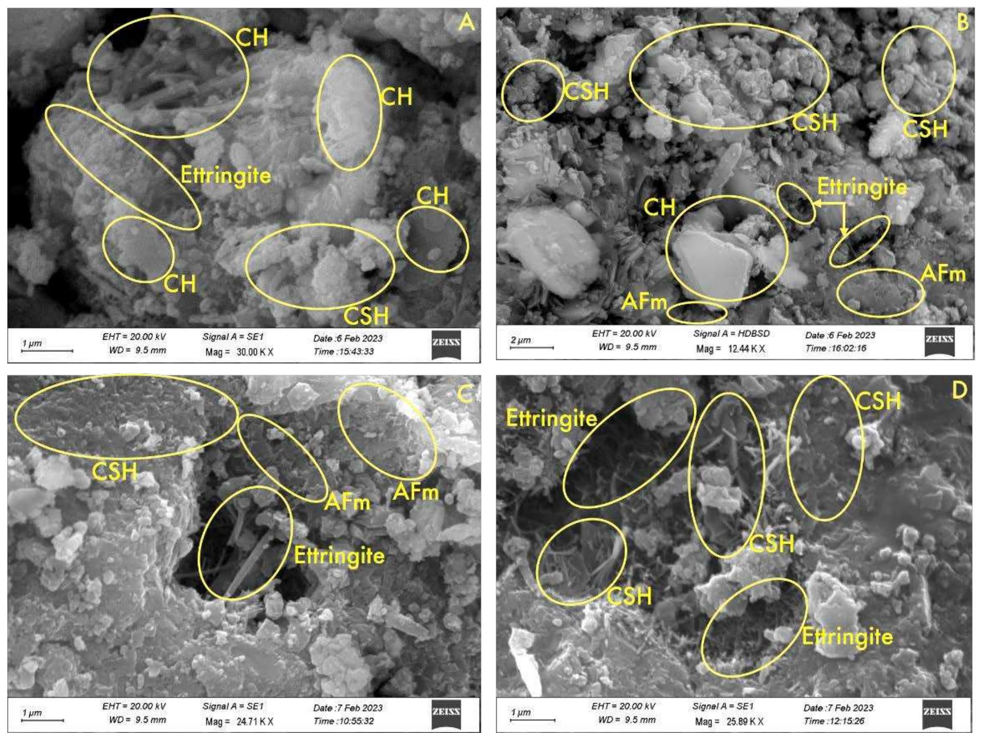4.7.3. morphology figure 16. sem images of a) reference