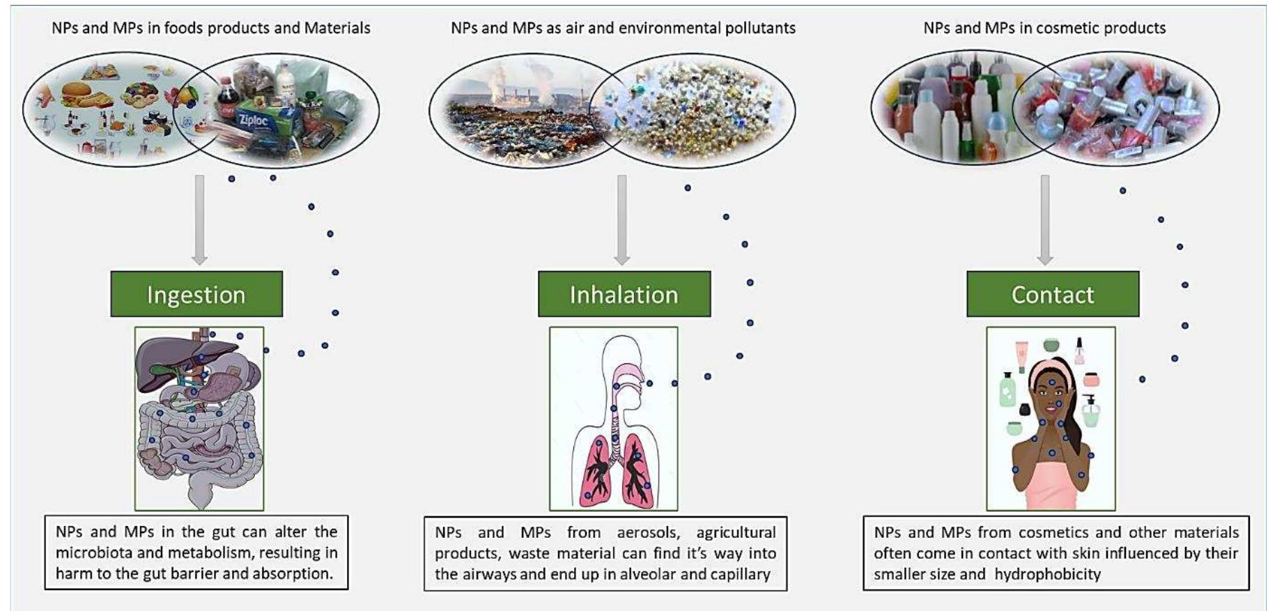 Routes for microplastics and nano-plastics into human body