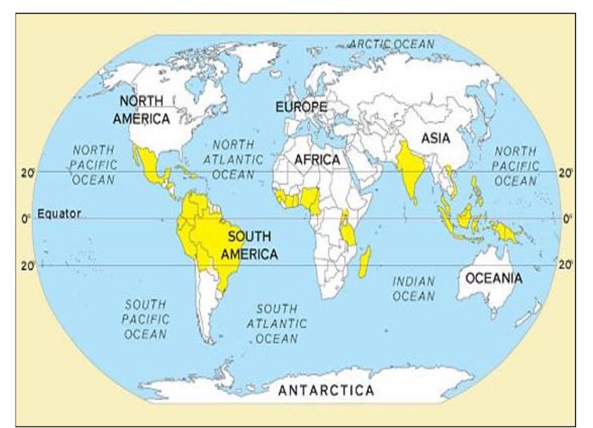 (a) countries where cssvd is prevalent are shown on the map