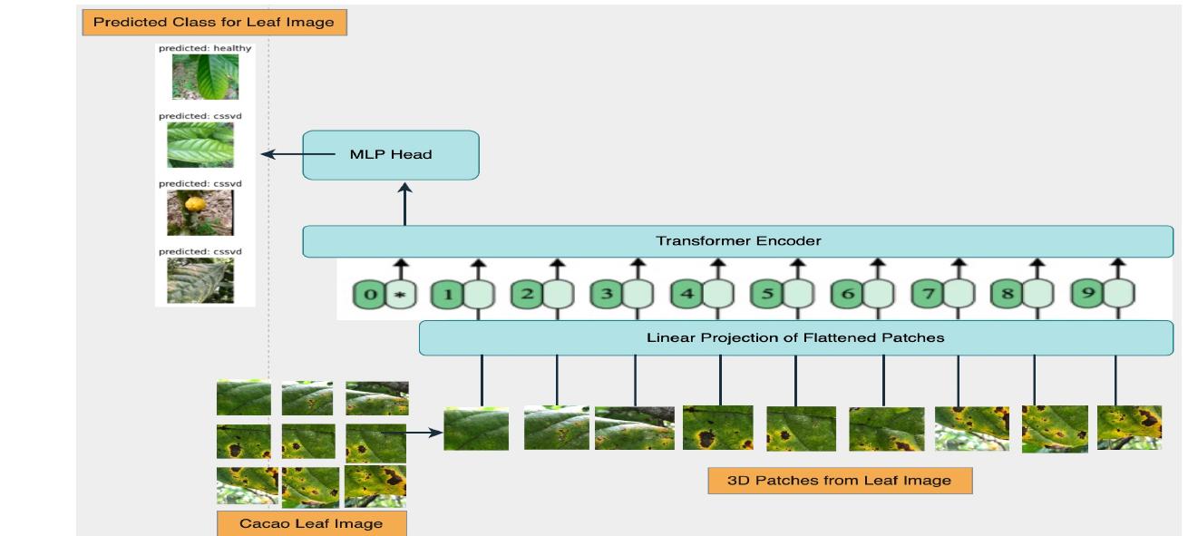 (b) an image classifier based on the vision transformer