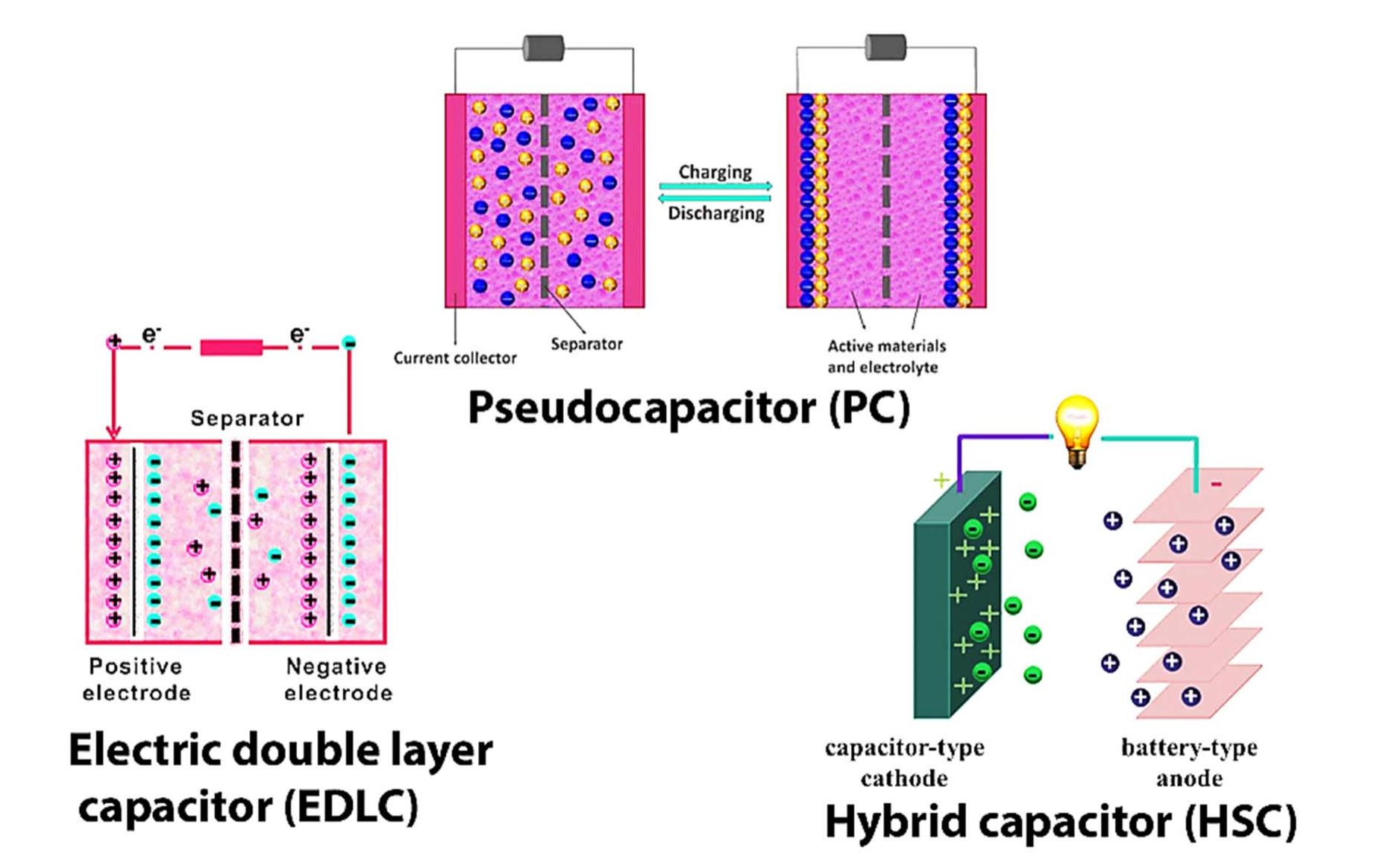Working and internal structure of different types of scs.