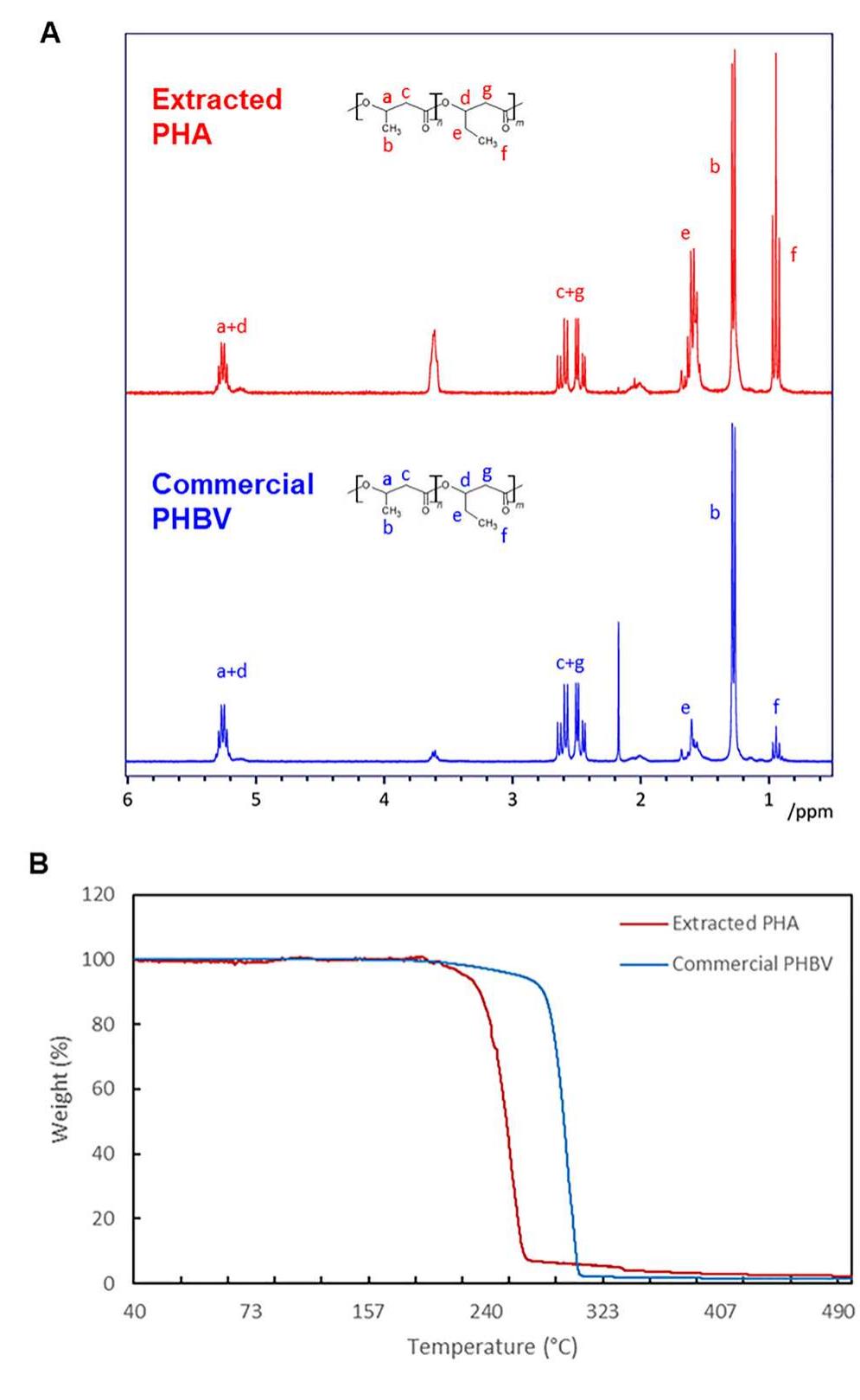 Characterisation of pha samples. a 'h nmr spectra and b tga