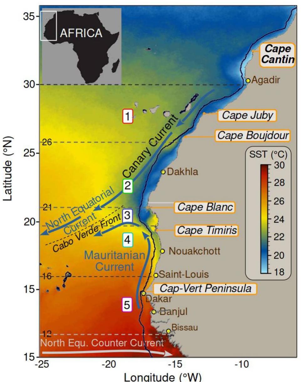 Map of the southern canary current large marine ecosystem in