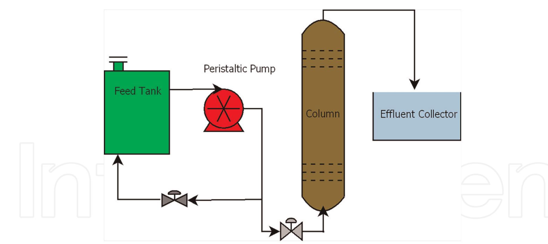 A © pein ioe schematic illustrator continuous adsorption