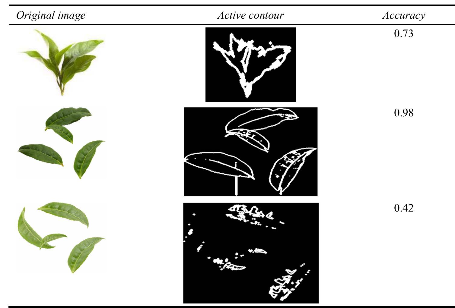 Le 2 active contour model (continued) (see online version