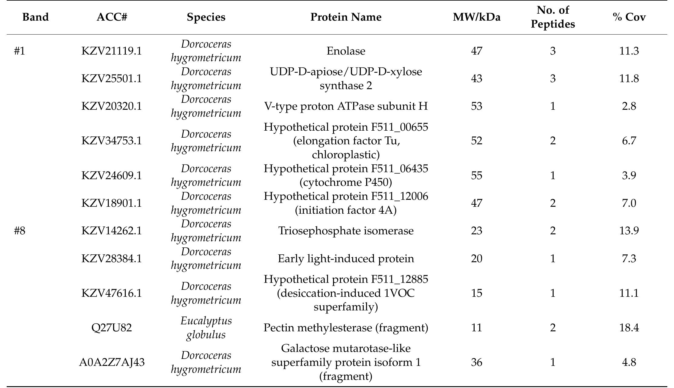 Proteins identified in band 1 (48 kda) and band 8 (14 kda)